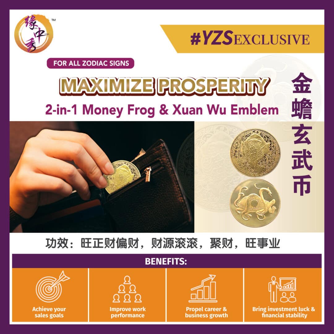 2-in-1 Money Frog & Xuan Wu Emblem | Yuan Zhong Siu