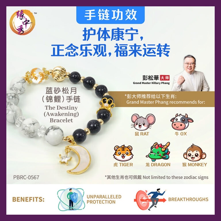 The Destiny (Awakening) Bracelet | Yuan Zhong Siu